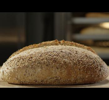 Artisan Bread: Baguettes, Flatbreads, Gluten Free Bread Options | La ...